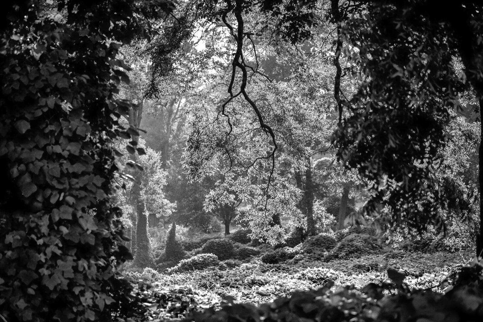 The Anthropocene Project – Emergence Magazine