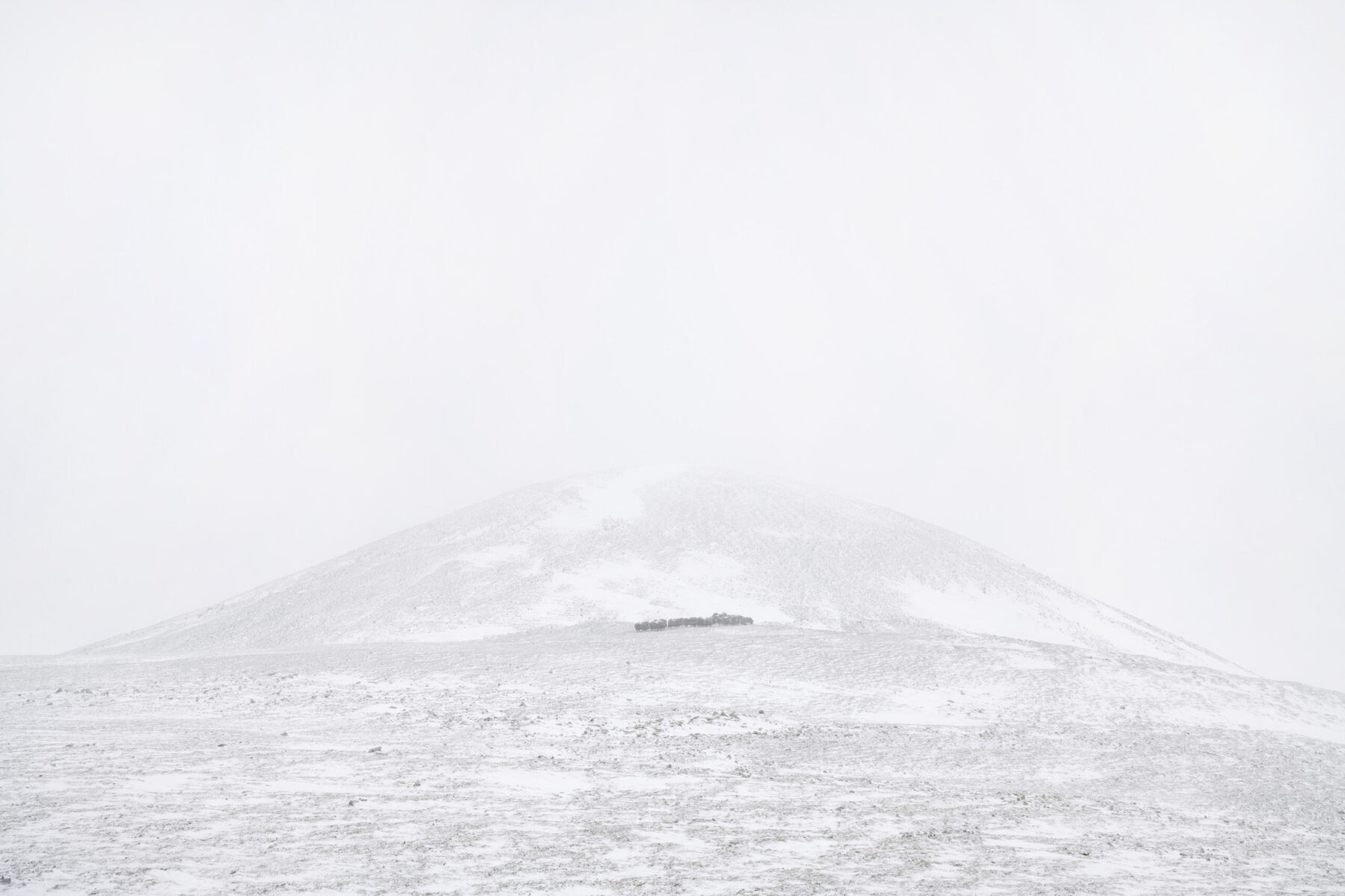 The Anthropocene Project – Emergence Magazine