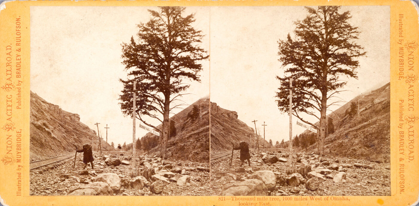 Of Wandering Angels and Lost Landmarks – Daegan Miller