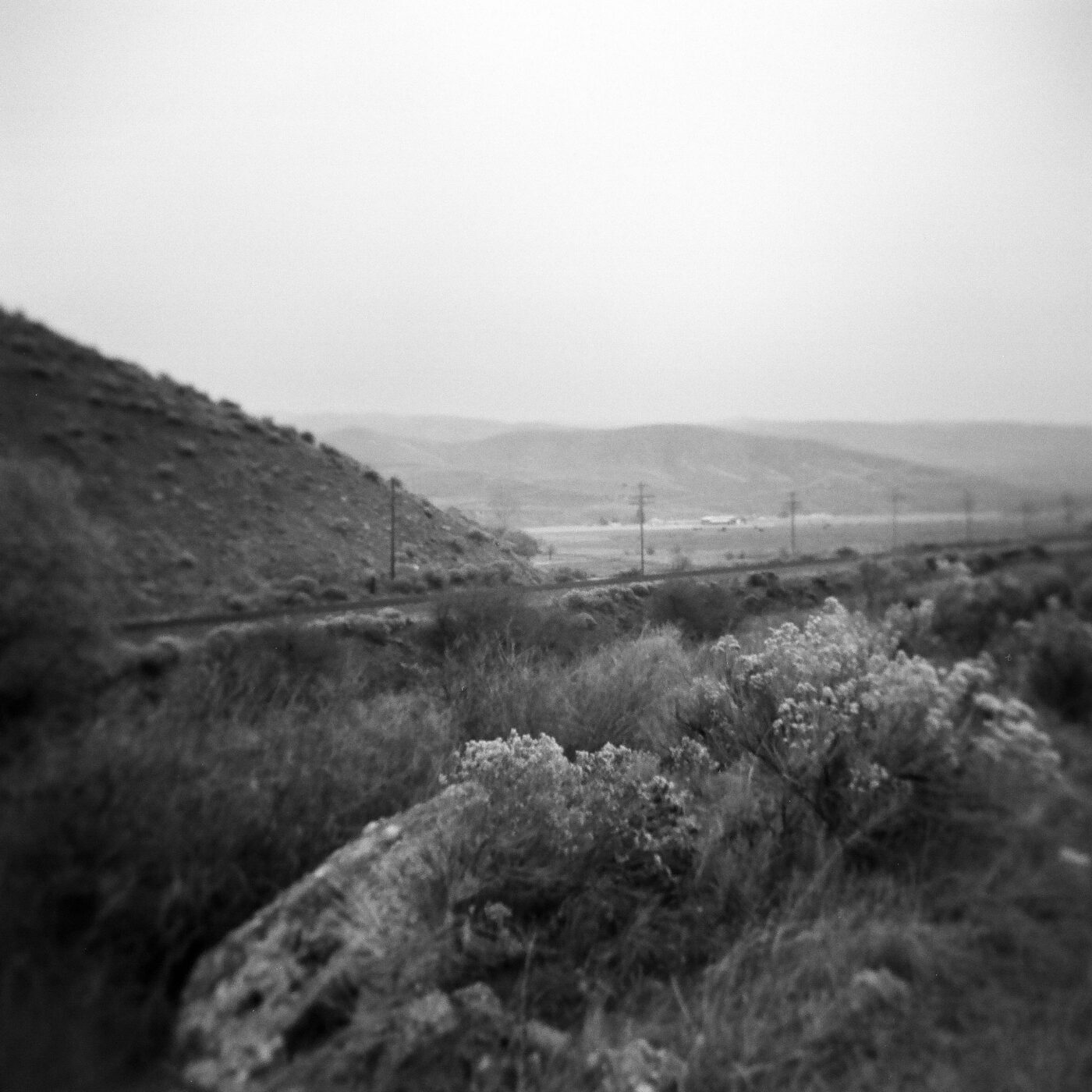 Of Wandering Angels and Lost Landmarks – Daegan Miller