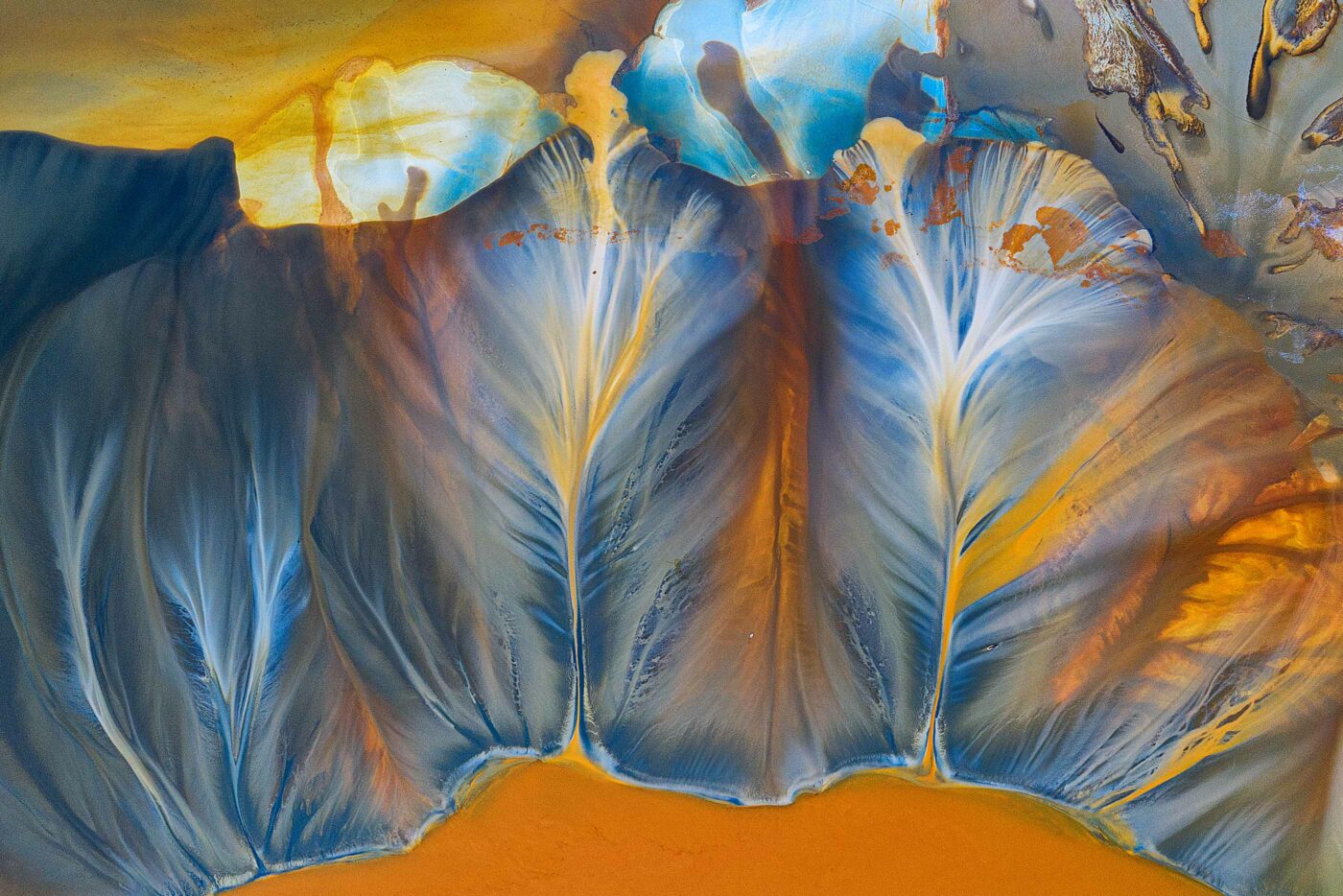 Poisoned Beauty – Gheorghe Popa