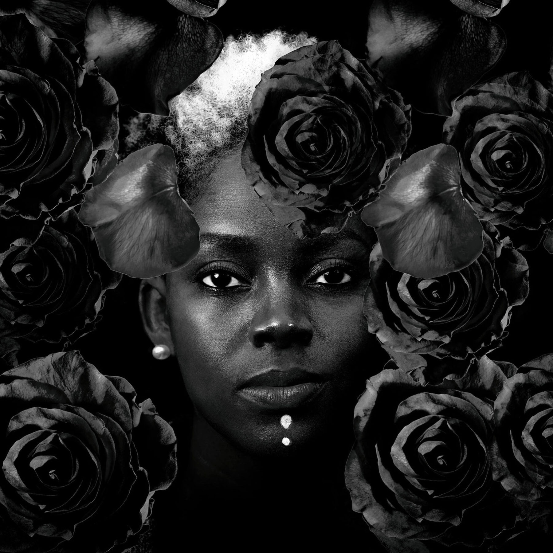 Emergence Magazine Podcast