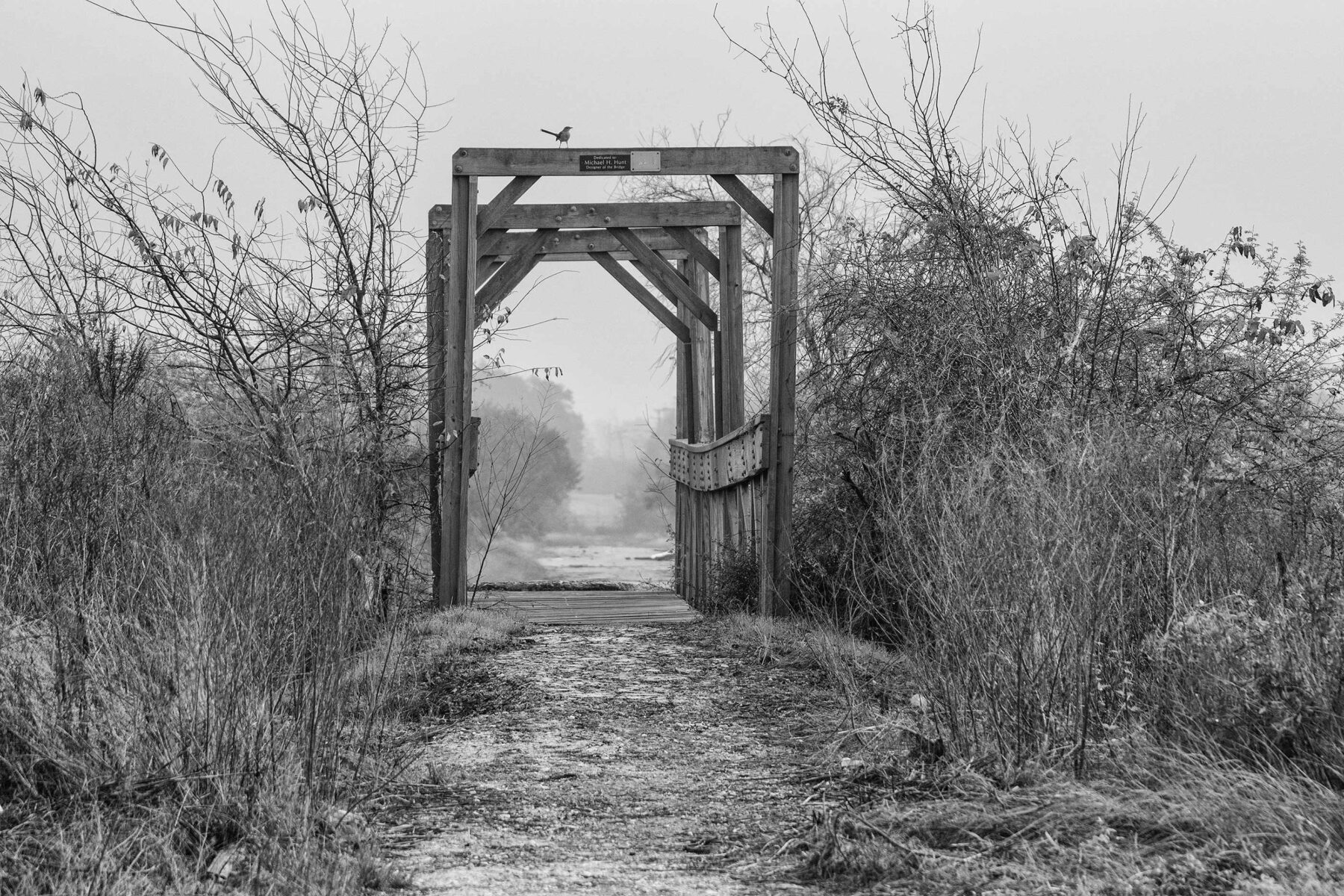 What Survives – Lacy M. Johnson