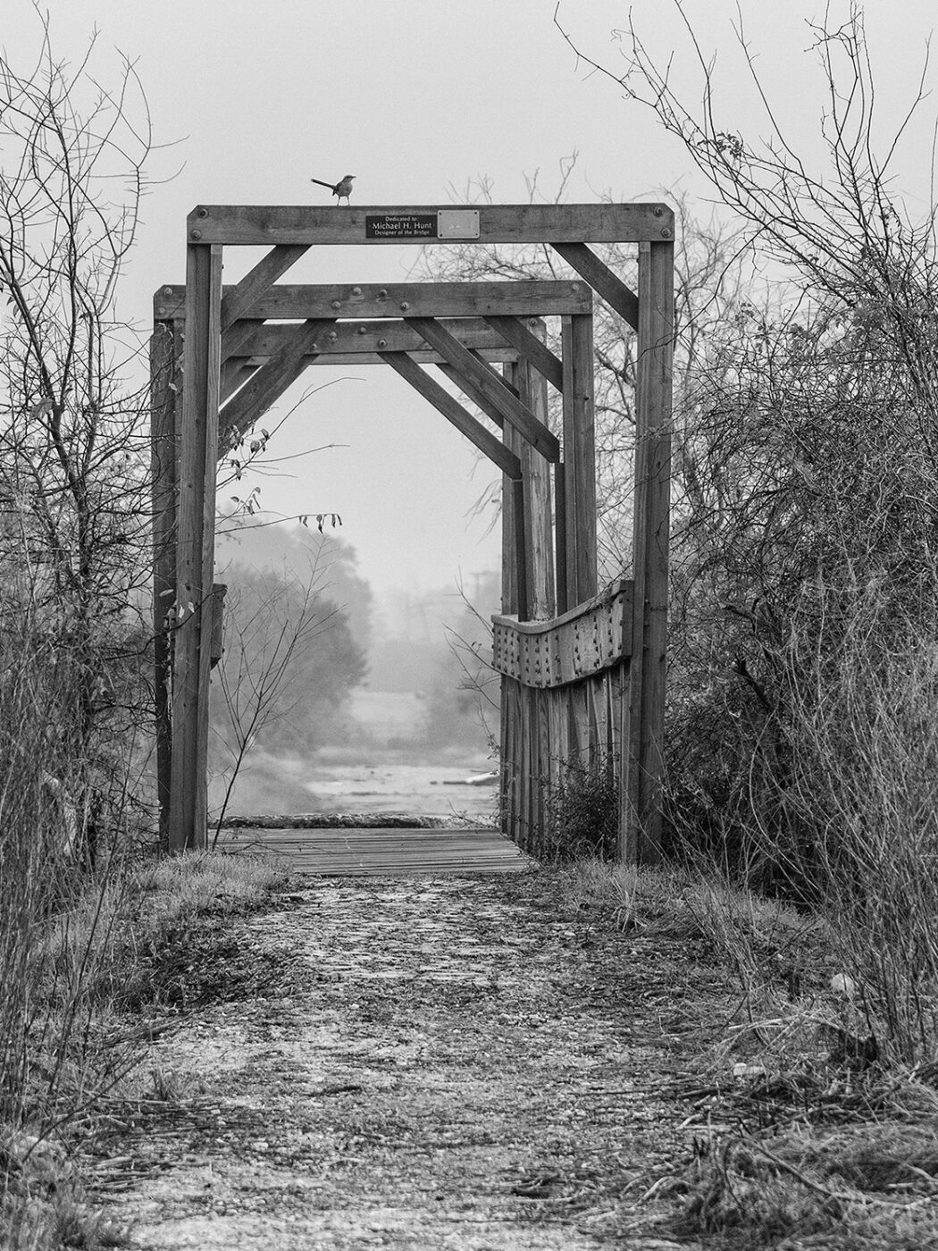 Connecting the threads between ecology, culture, and spirituality ...