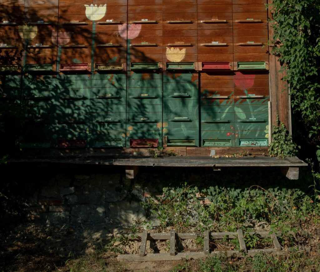 Pollinators of Slovenia: The Forest Beekeeper