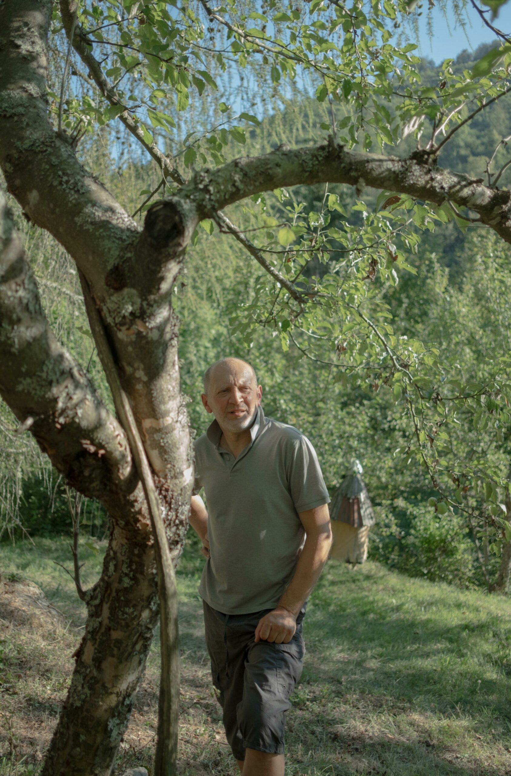 Pollinators of Slovenia: The Forest Beekeeper