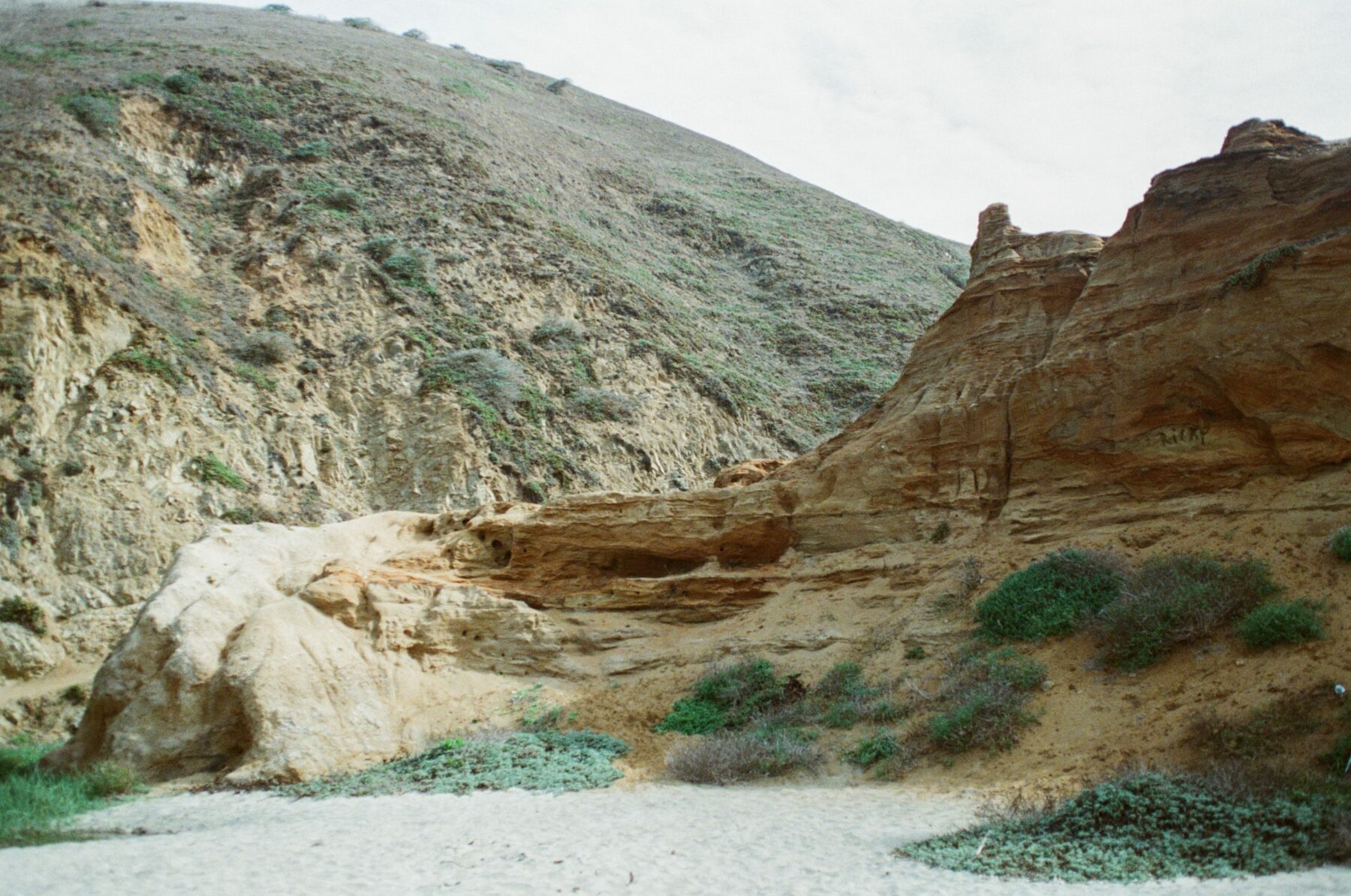 Valemon the Bear – Featuring Martin Shaw