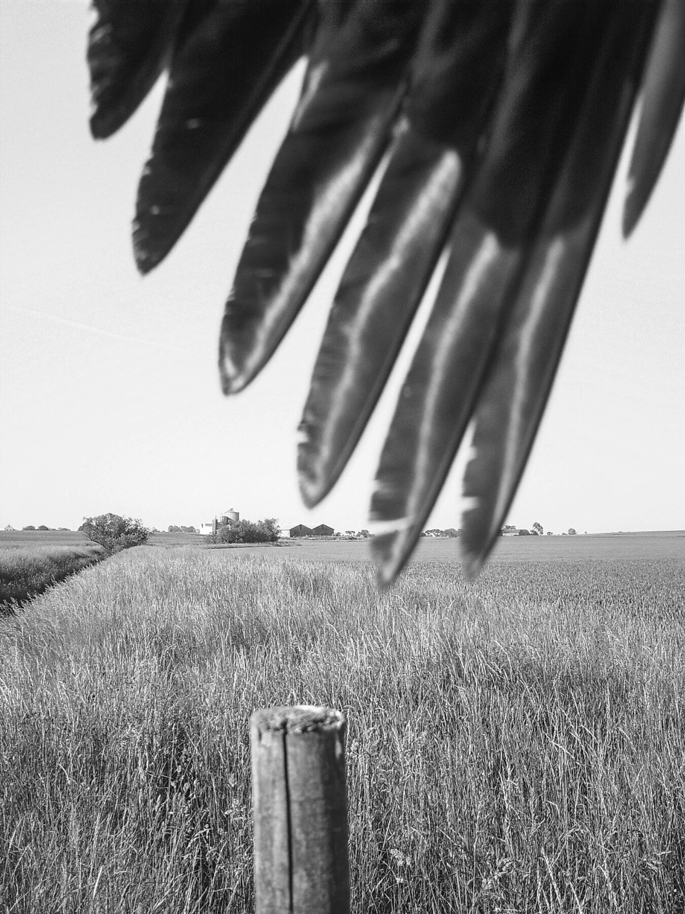 The Pillar – Stephen Gill