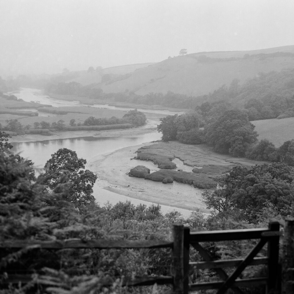 Emergence Magazine Podcast