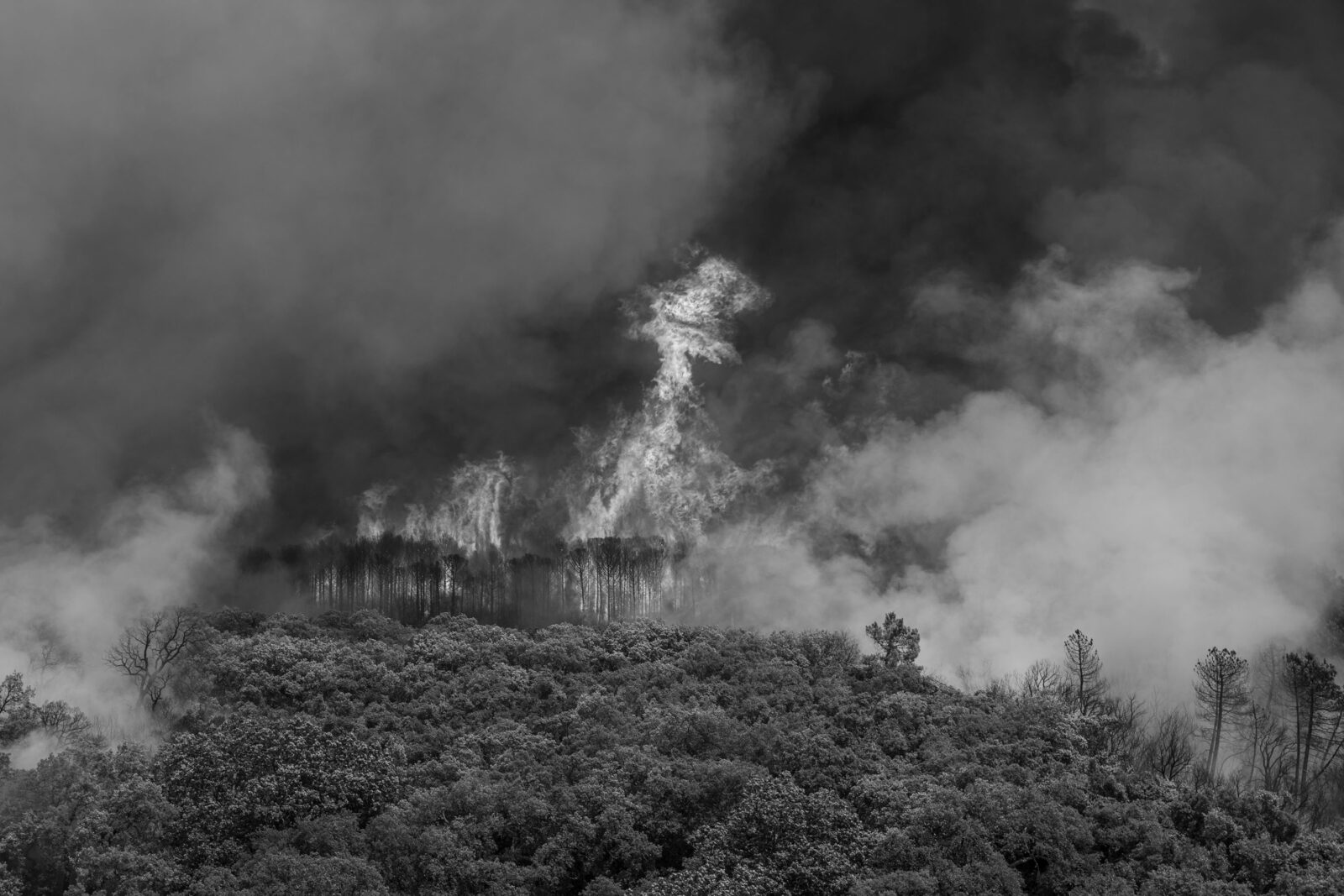 Desert, Fire, Flood – by Zied Ben Romdhane