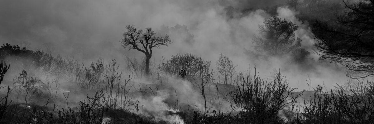 Desert, Fire, Flood – by Zied Ben Romdhane