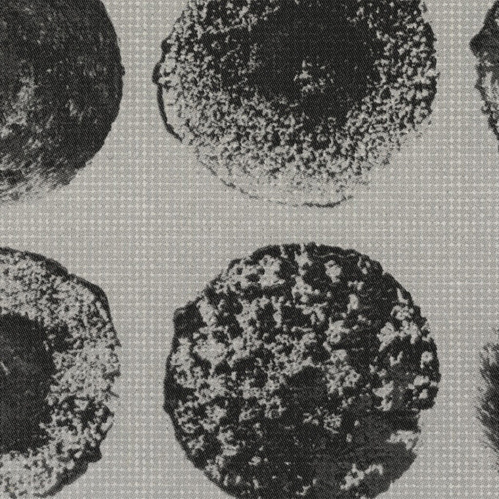 Emergence Magazine Podcast