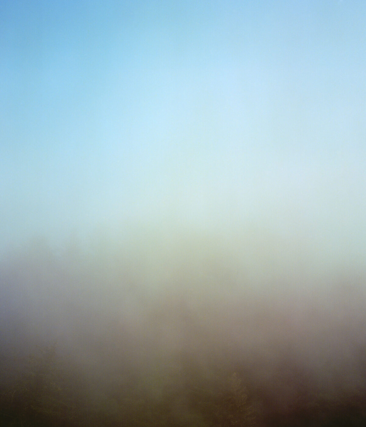 Unborn and Undying – Llewellyn Vaughan-Lee