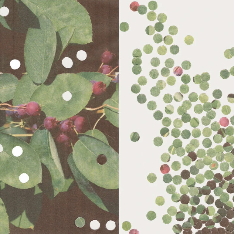 Emergence Magazine Podcast