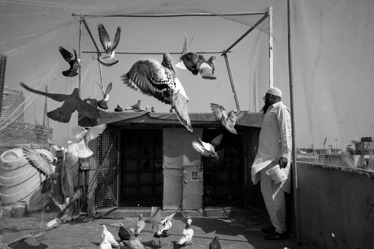 The Birdman of Old Delhi – Nachiket Sharma