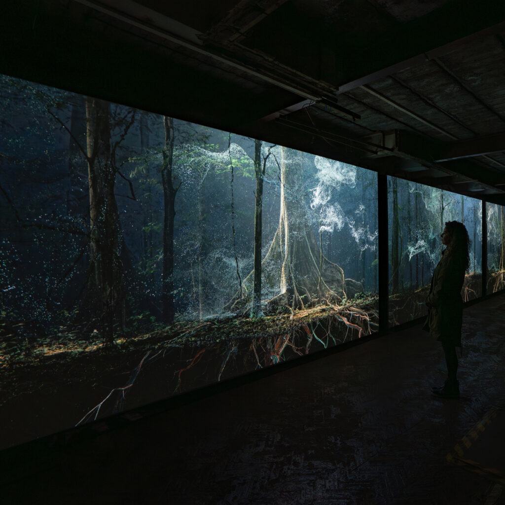 Emergence Magazine Podcast