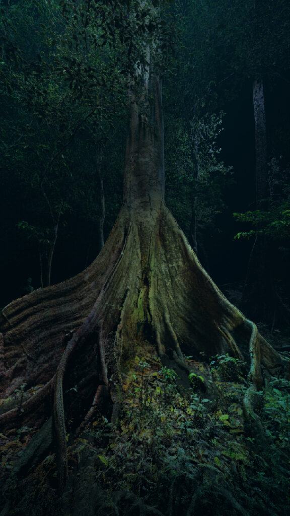 Breathing with the Forest – by Marshmallow Laser Feast