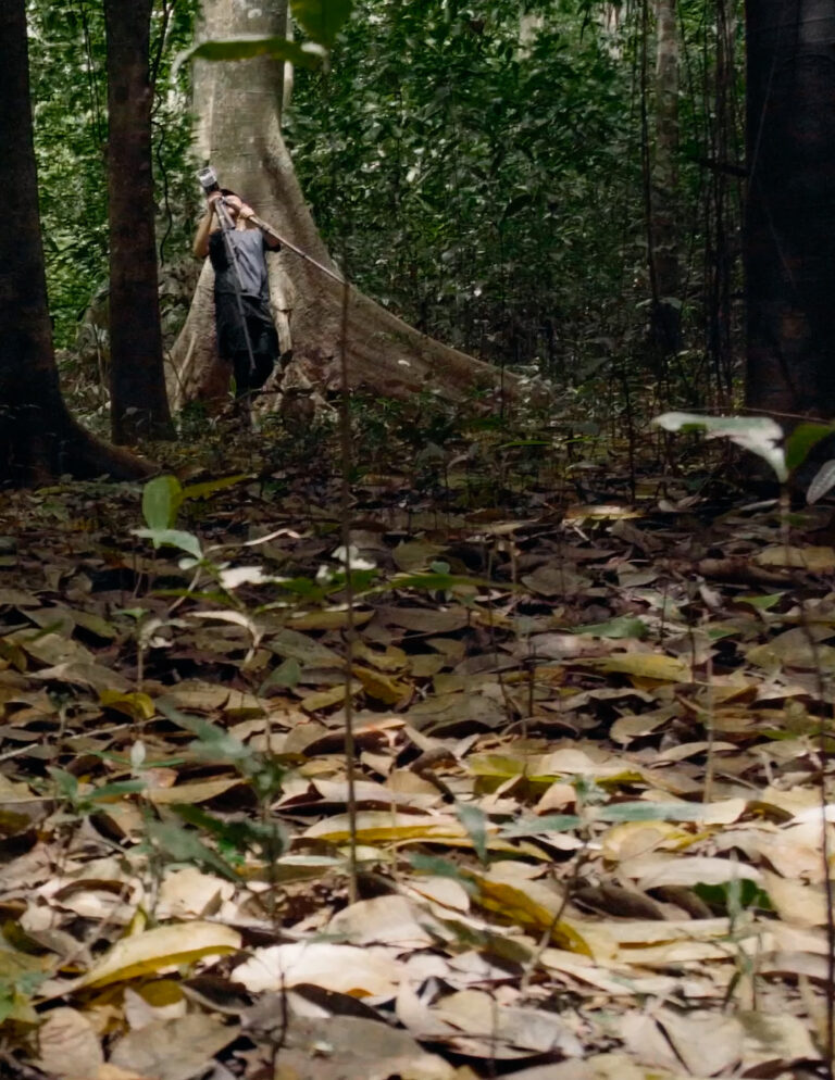 Breathing with the Forest – by Marshmallow Laser Feast