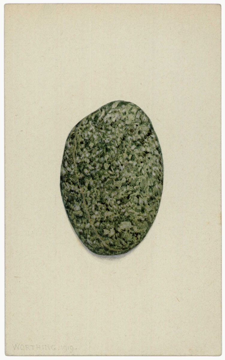 Wrinkled Time: The Persistence of Past Worlds on Earth – Marcia Bjornerud