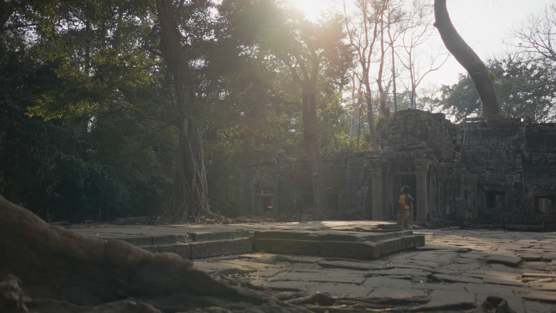 Shifting Landscapes Film Series – by Adam Loften & Emmanuel Vaughan-Lee