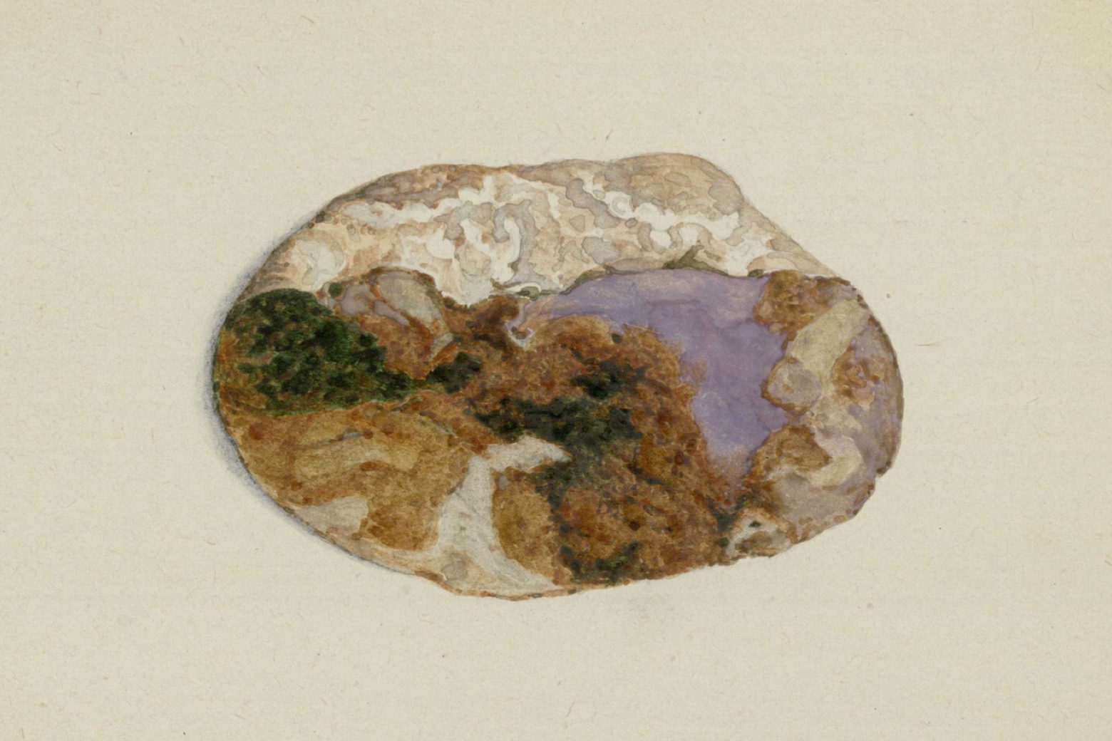 Wrinkled Time: The Persistence of Past Worlds on Earth – Marcia Bjornerud