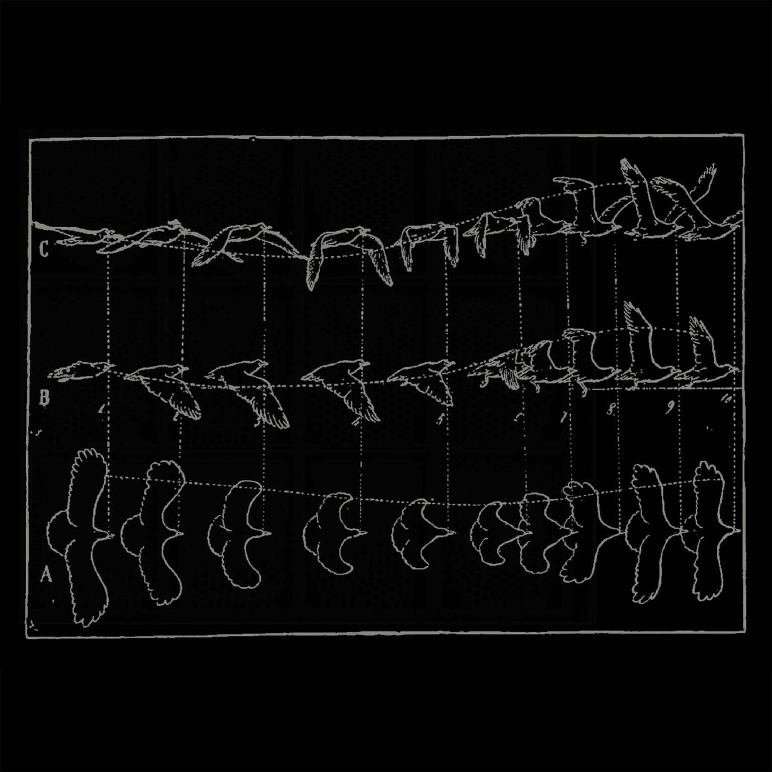 Emergence Magazine Podcast