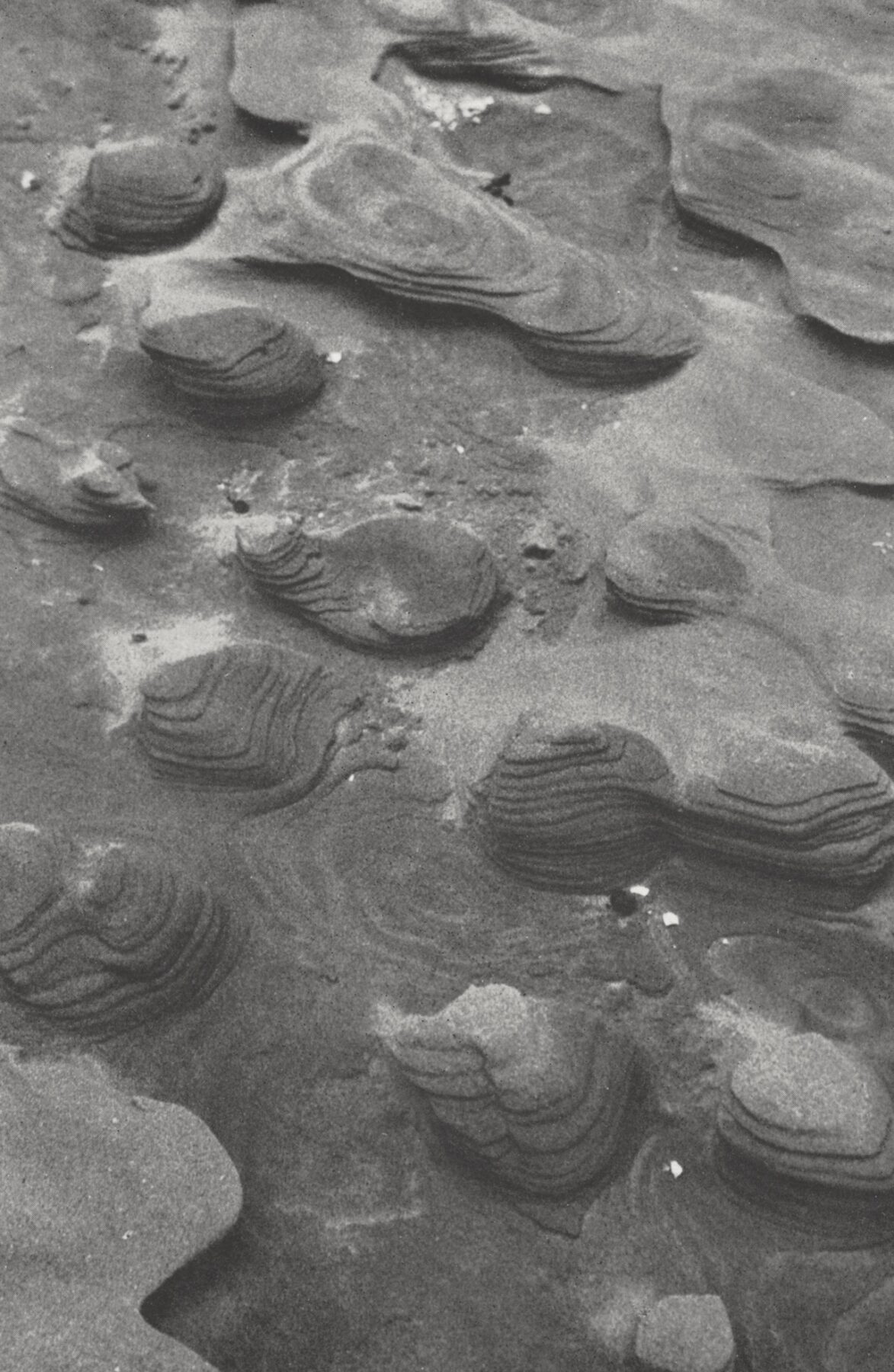 In the Wake of the Sandbound – Nick Hunt