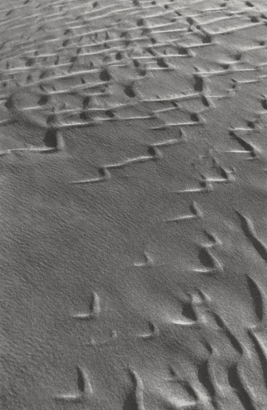 In the Wake of the Sandbound – Nick Hunt