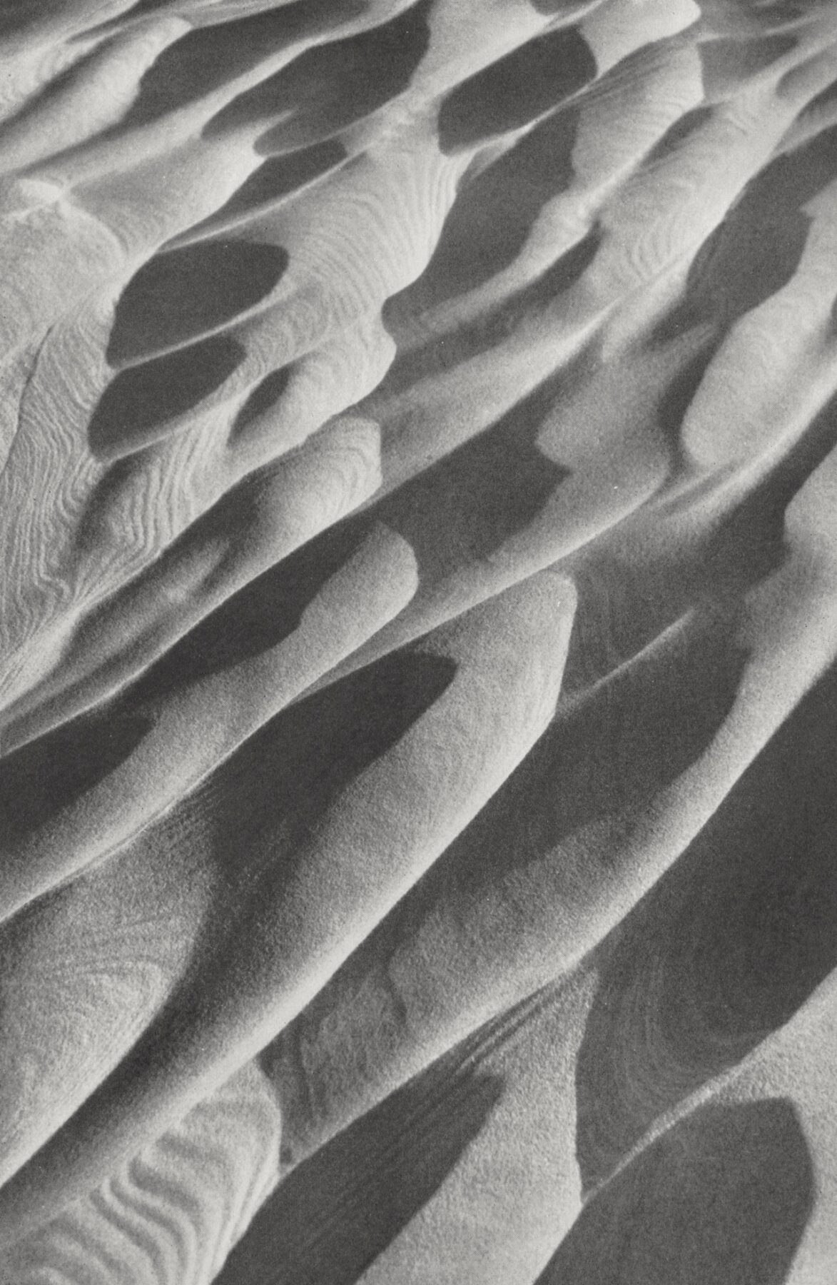In the Wake of the Sandbound – Nick Hunt