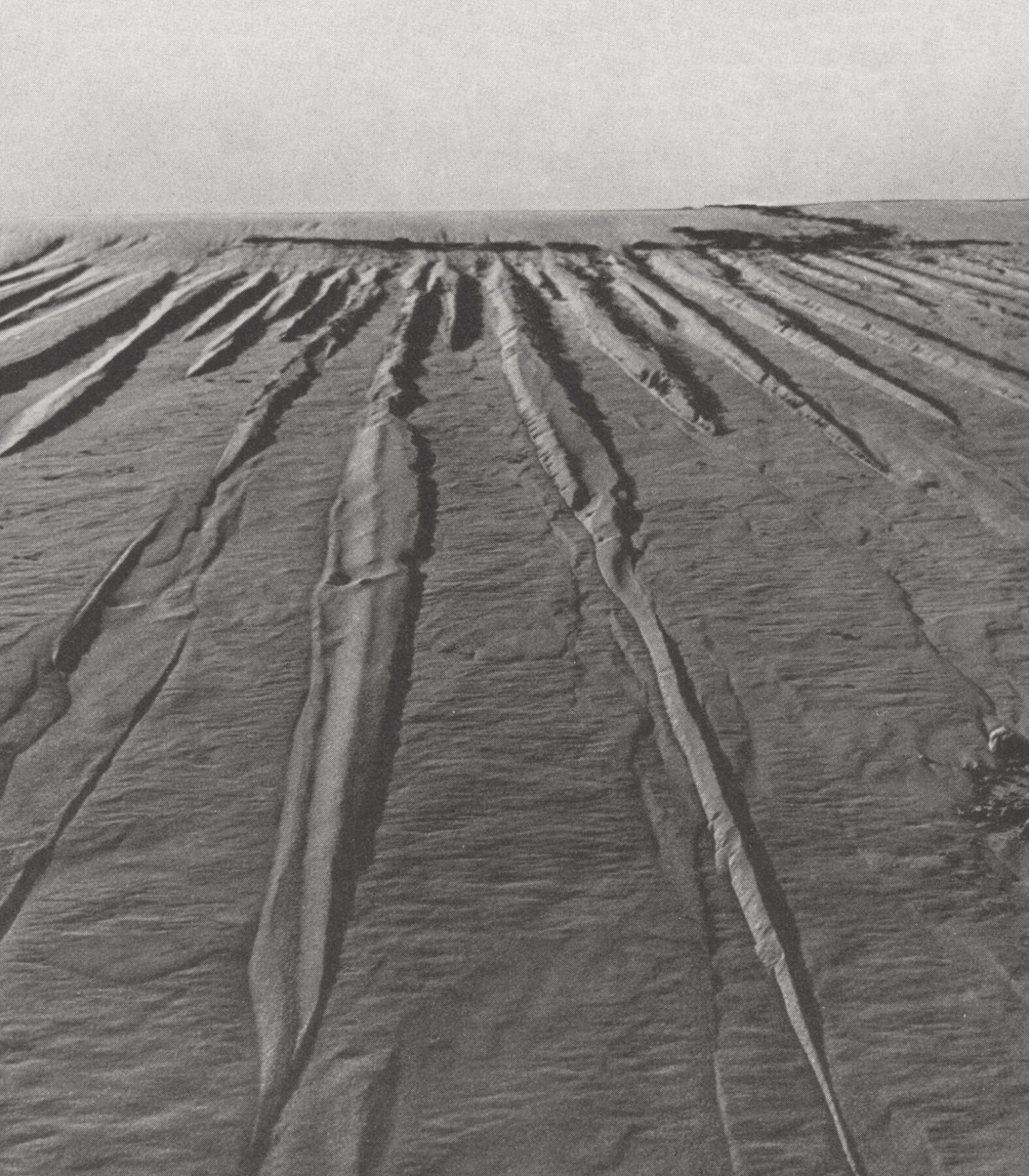 In the Wake of the Sandbound – Nick Hunt