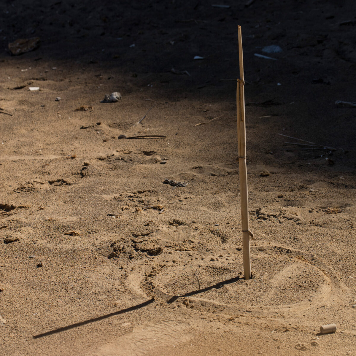 Emergence Magazine Podcast