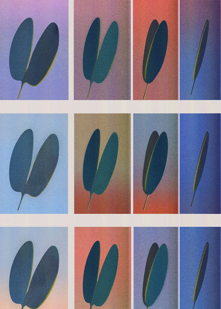 Connecting the threads between ecology, culture, and spirituality ...