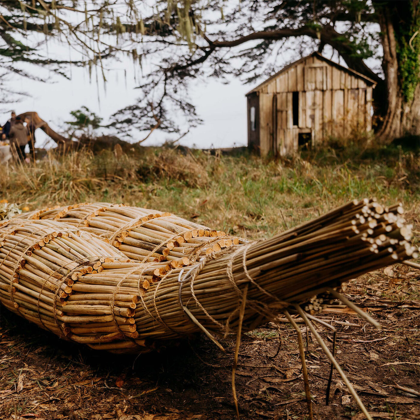 Emergence Magazine Podcast