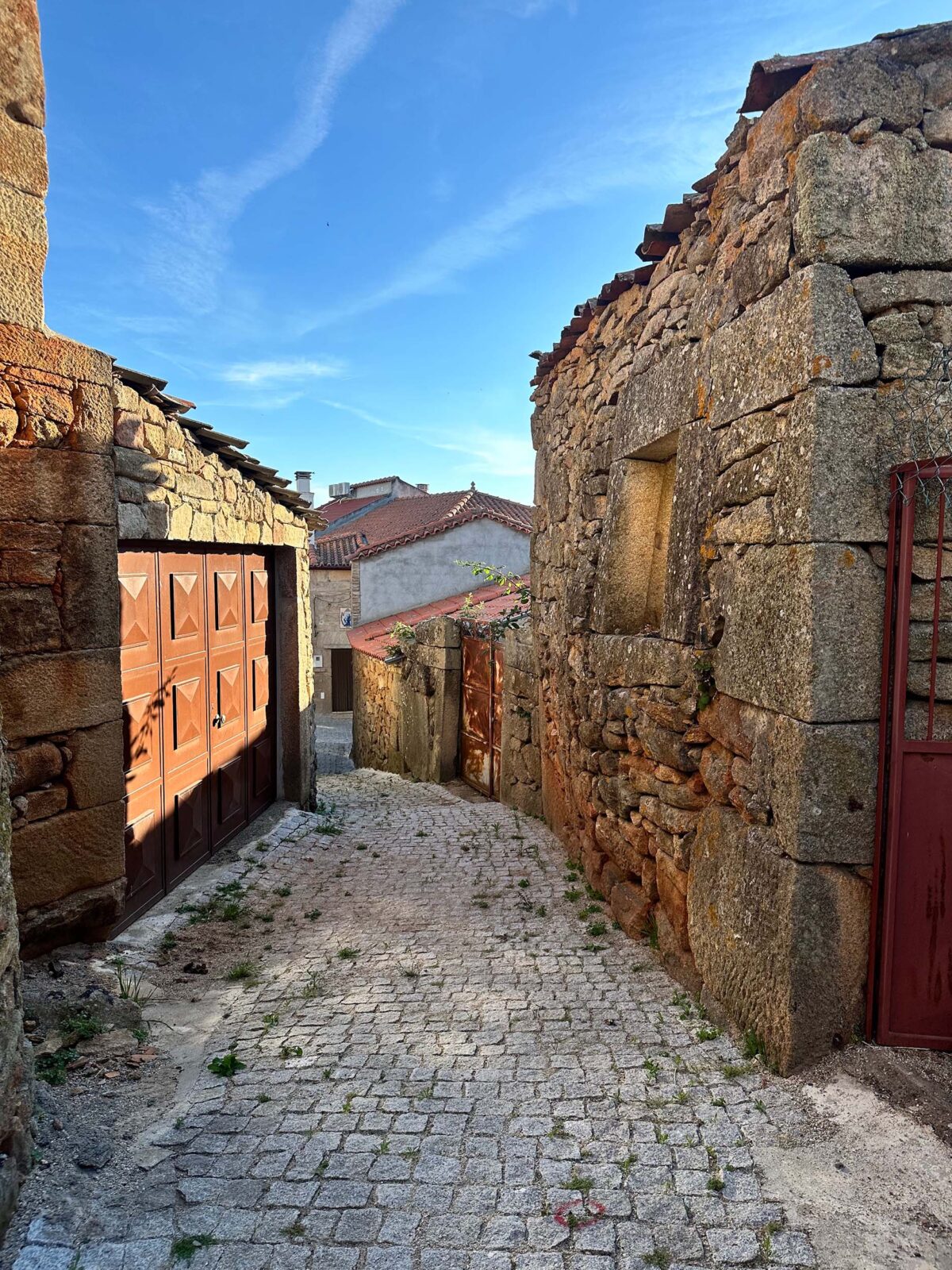 A Small King – Nicholas Triolo