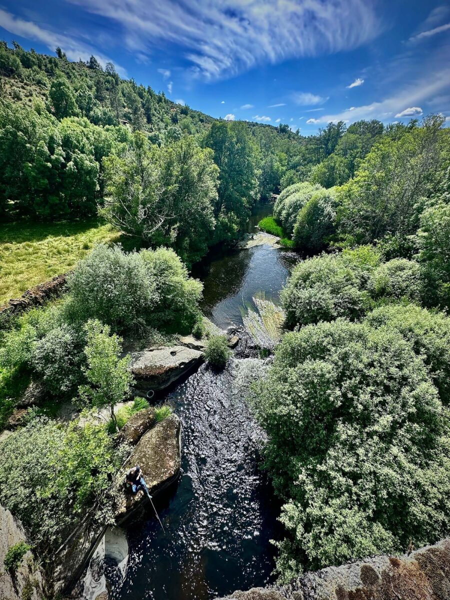 A Small King – Nicholas Triolo