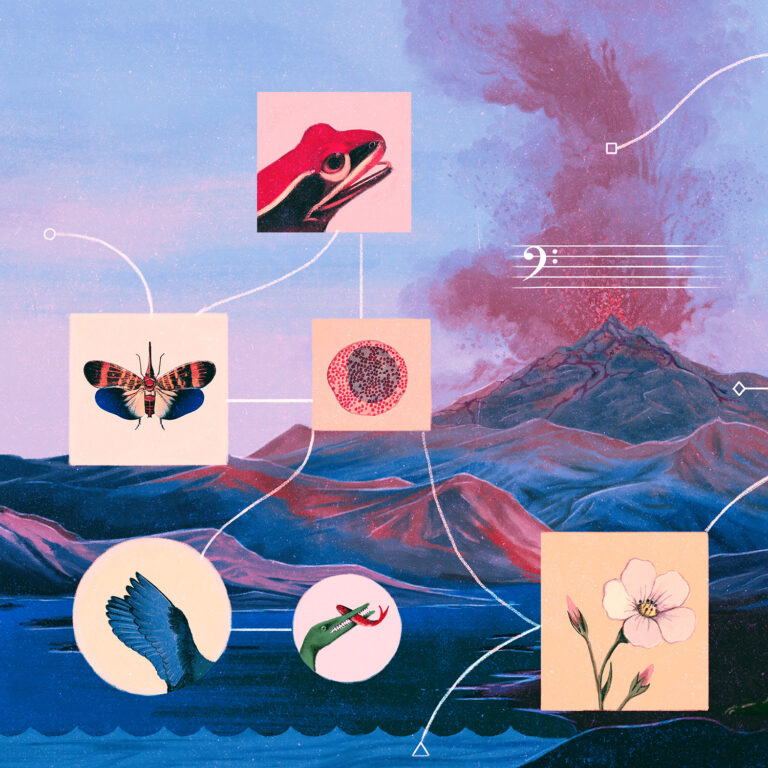 Emergence Magazine Podcast