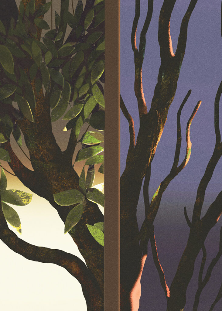 Becoming Earth – Robin Wall Kimmerer
