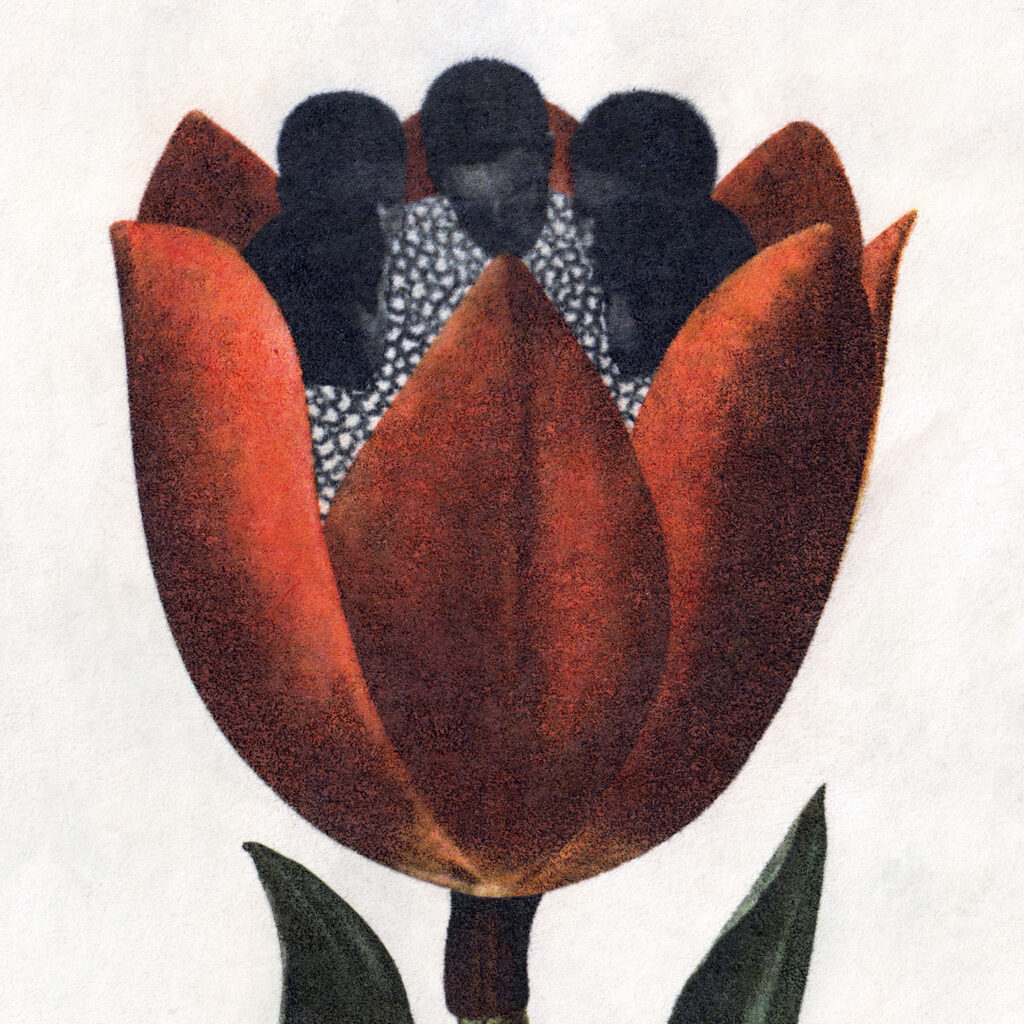 Emergence Magazine Podcast