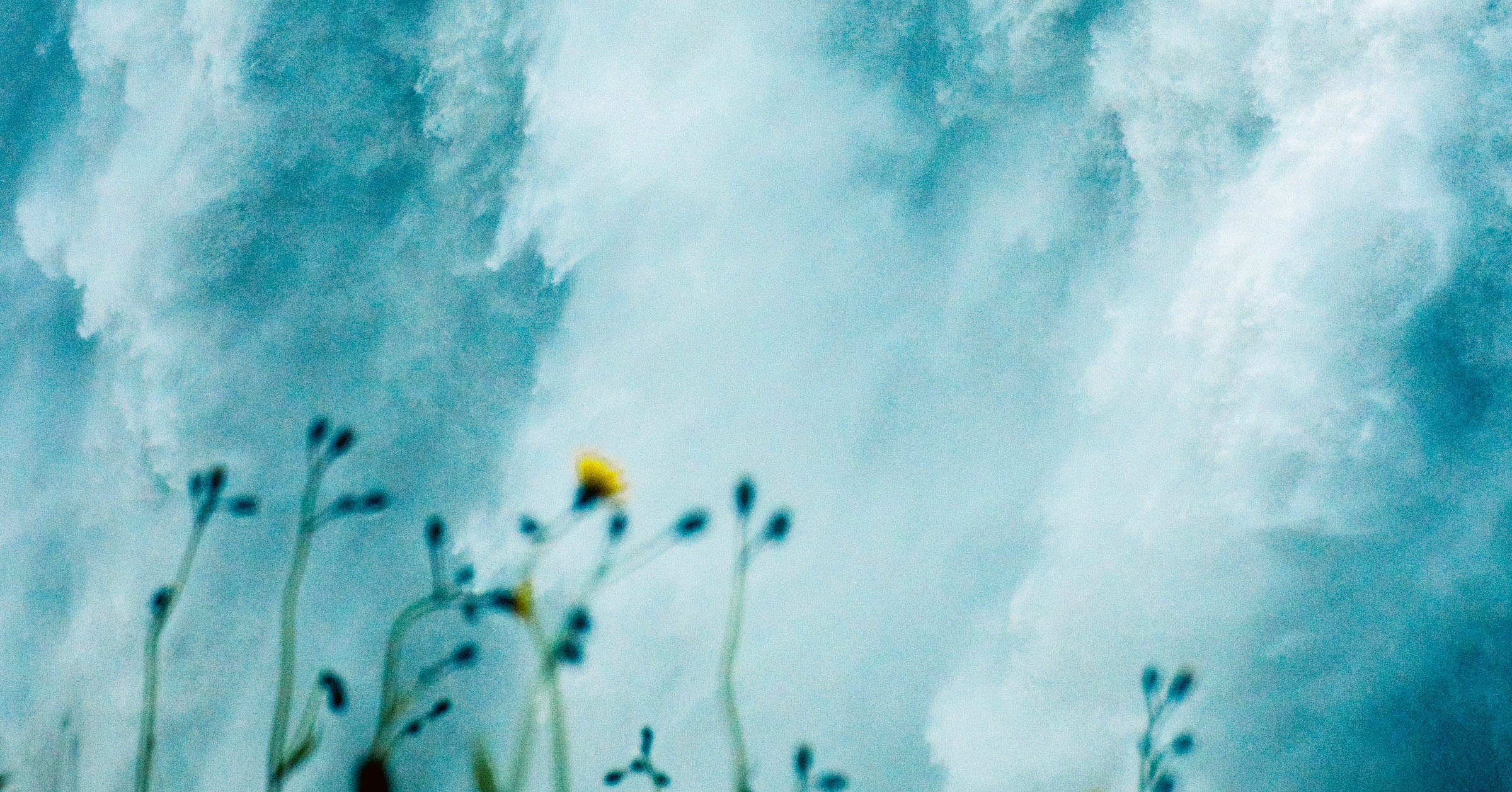 This Vast Artifice – Eve Driver